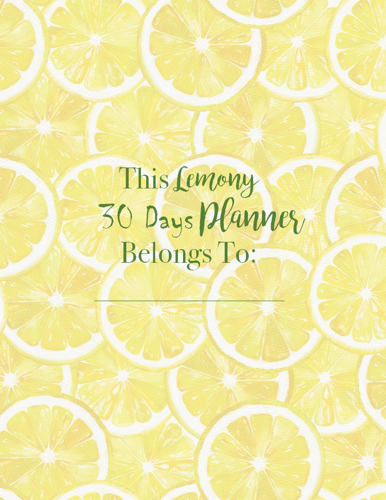 Planner 30 Day Bright Ideas, Beautiful Design, Easy-to-use Format ...