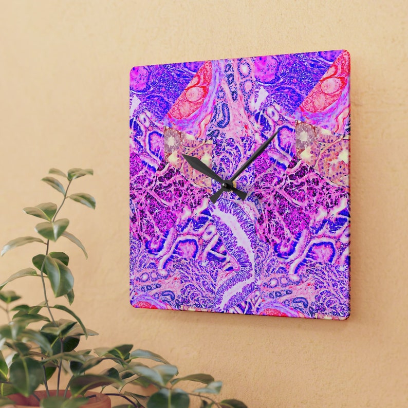 Histology Watercolor Clock: Pathology & Veterinary Office Decor - Etsy