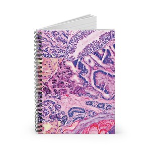 Histology Watercolor Spiral Notebook: Anatomy Art, Med School Gift - Etsy