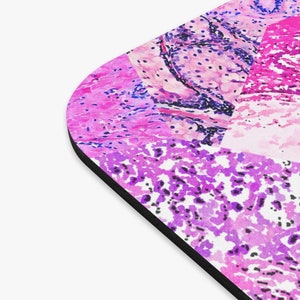 Histology Mouse Pad, Pathology Cytology Ophthalmology Mouse Pad, Skin ...