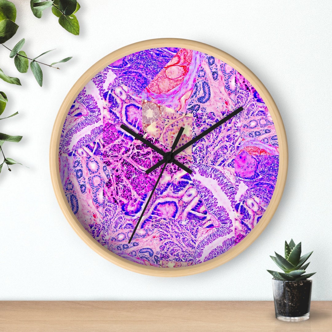 Histology Clock, Veterinary Histology Pathology Cytology Laboratory ...