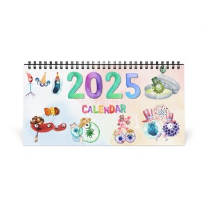 Microbiology Biology Desk Calendar 2025, Immunology Monthly 2025 ...