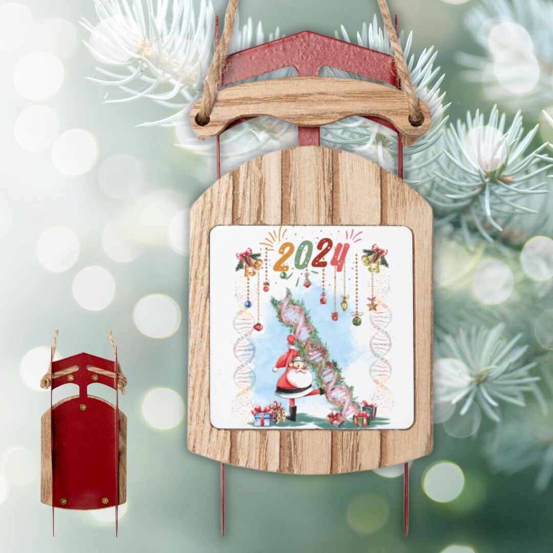 Double Helix DNA Sled Ornament, Genetics Engineering Student Xmas Gift ...