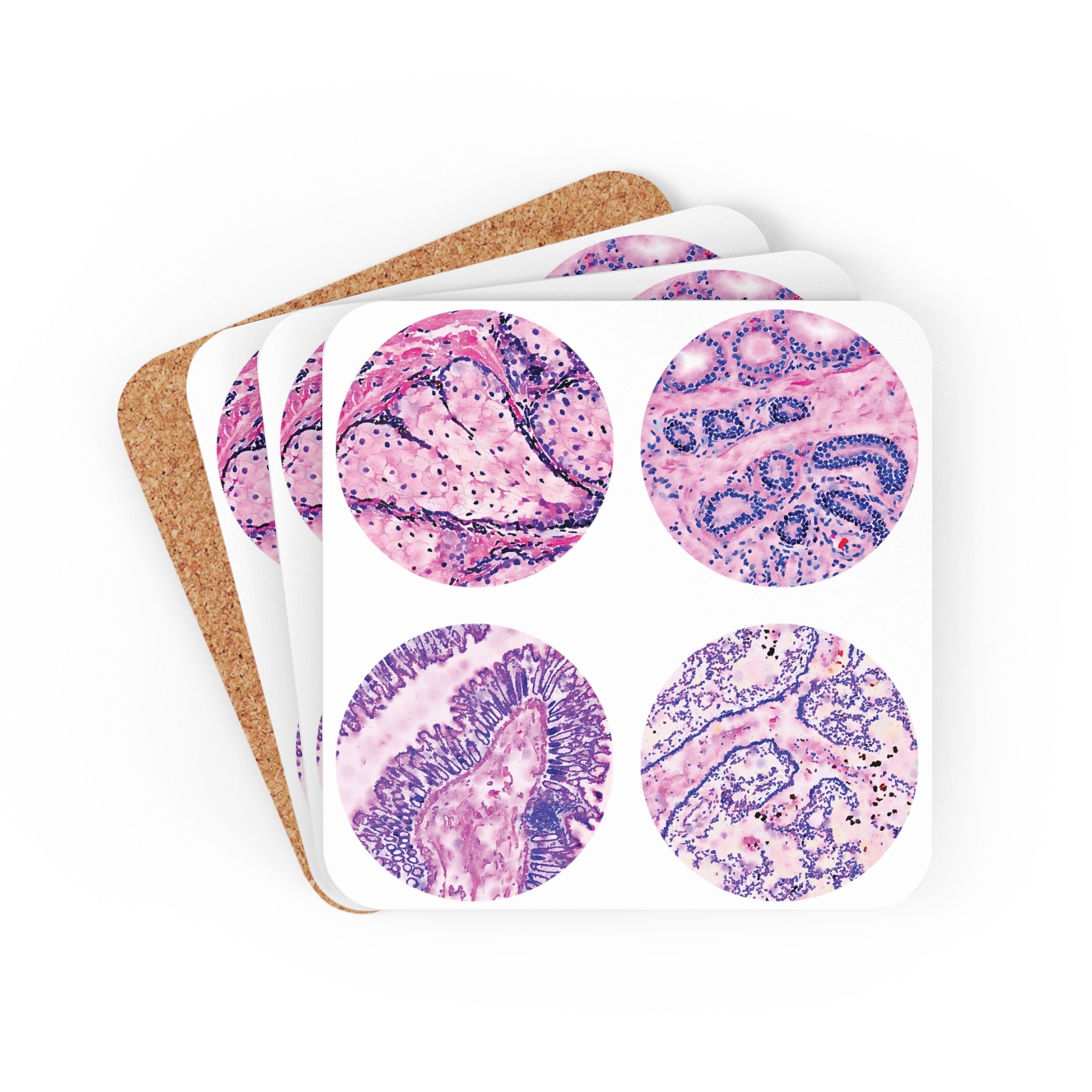 Histology Watercolor Ophthalmology Art Women in Science Biology Medical ...