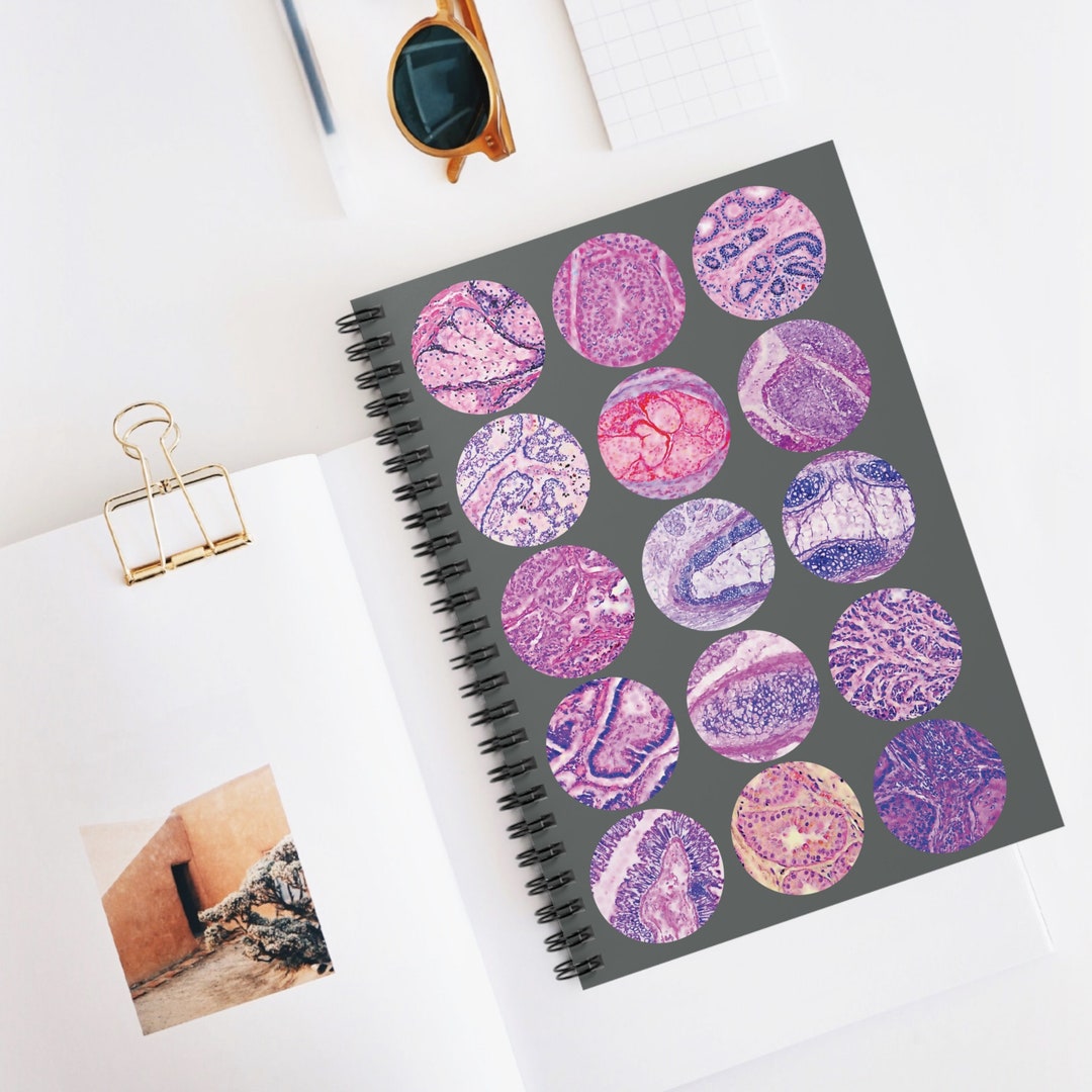 Histology Watercolor Spiral Notebook: Anatomy Art, Med School Gift - Etsy