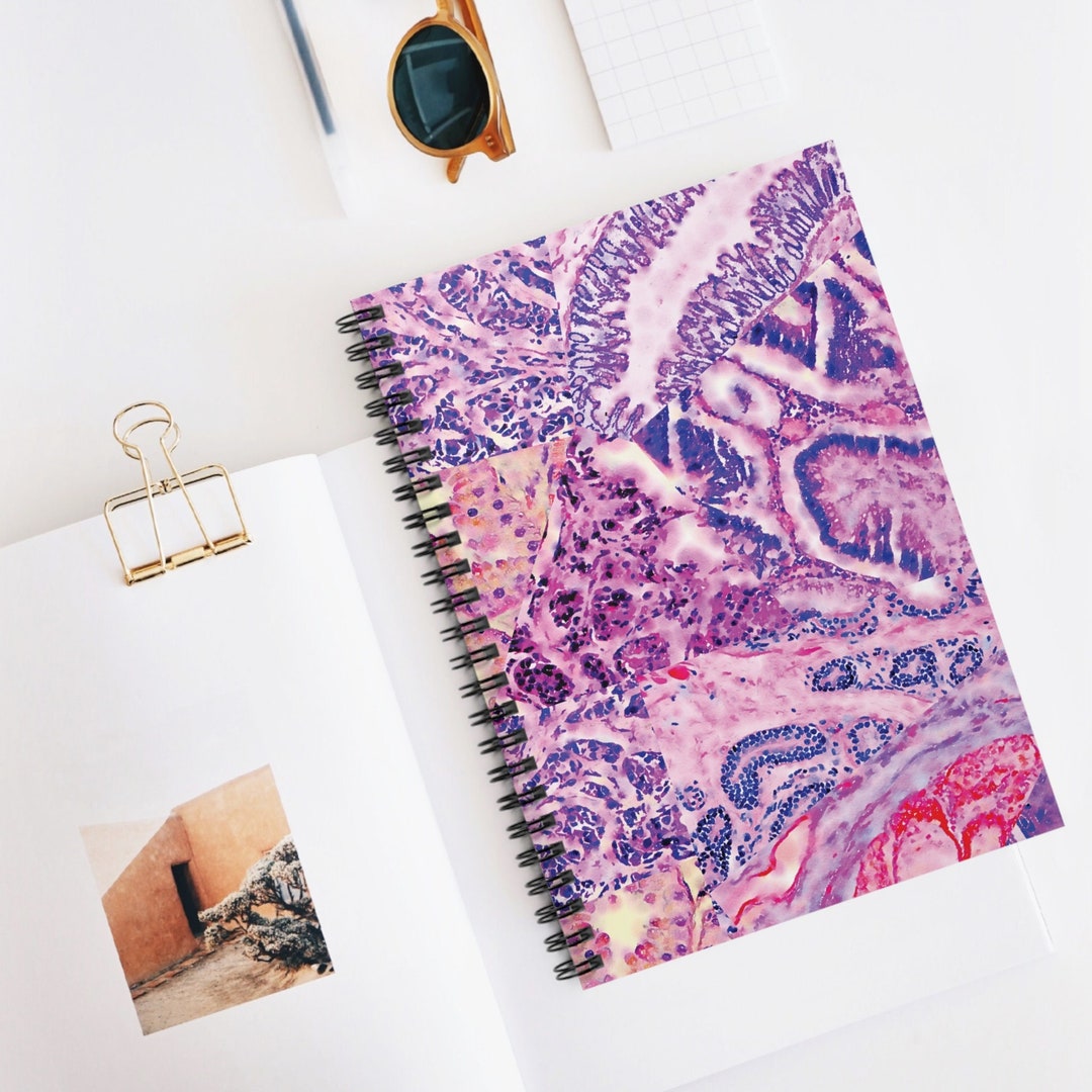 Histology Watercolor Spiral Notebook: Anatomy Art, Med School Gift - Etsy
