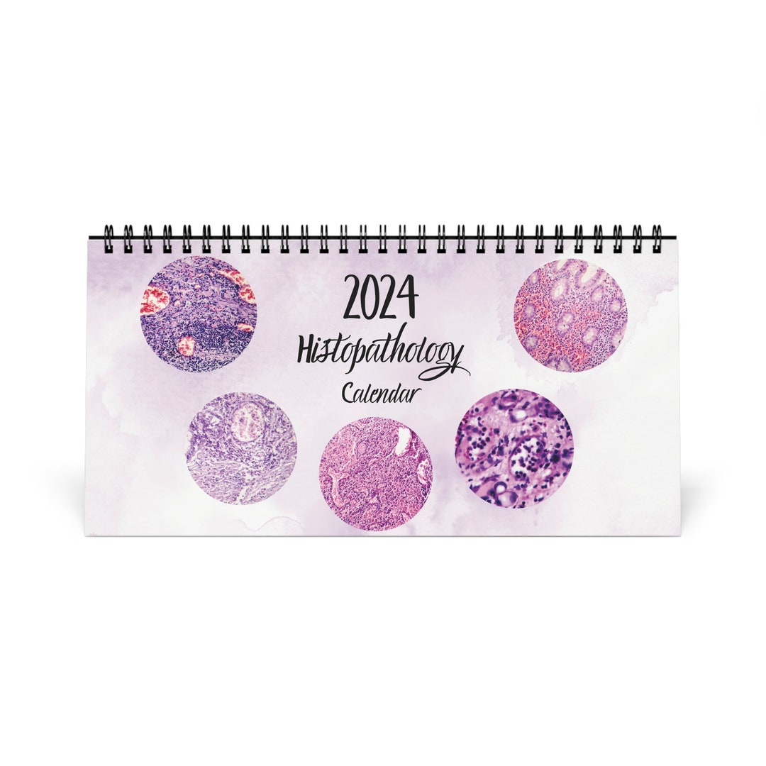 Histology Art Desk Calendar 2024 Histolpathology Watercolor Anatomy Art ...