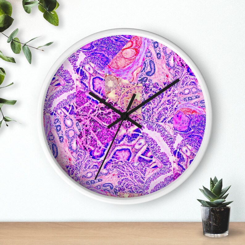Histology Watercolor Clock: Pathology Cytology Lab Decor - Etsy