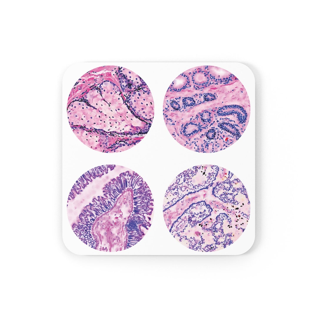 Histology Watercolor Ophthalmology Art Women in Science Biology Medical ...