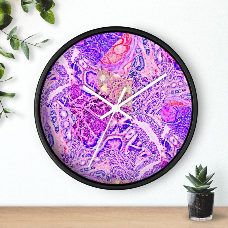 Histology Watercolor Clock: Pathology Cytology Lab Decor - Etsy