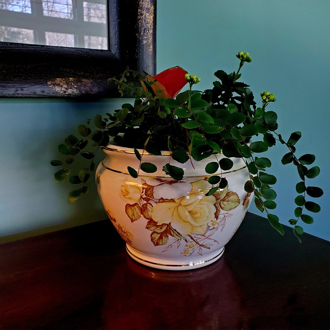 Elegant Jardinière - Yellow Rose Flowerpot - Faccioline Italian Planter ...