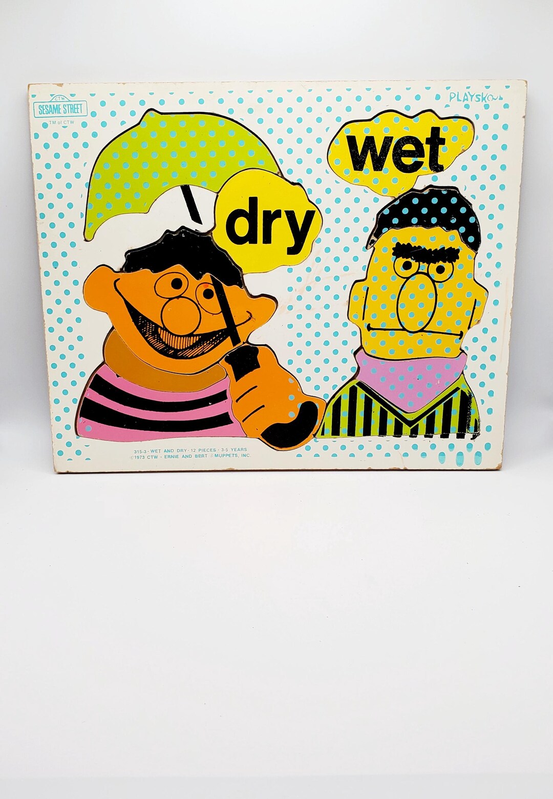 Bert and Ernie Puzzle Sesame Street Wet Dry Puzzle - Etsy