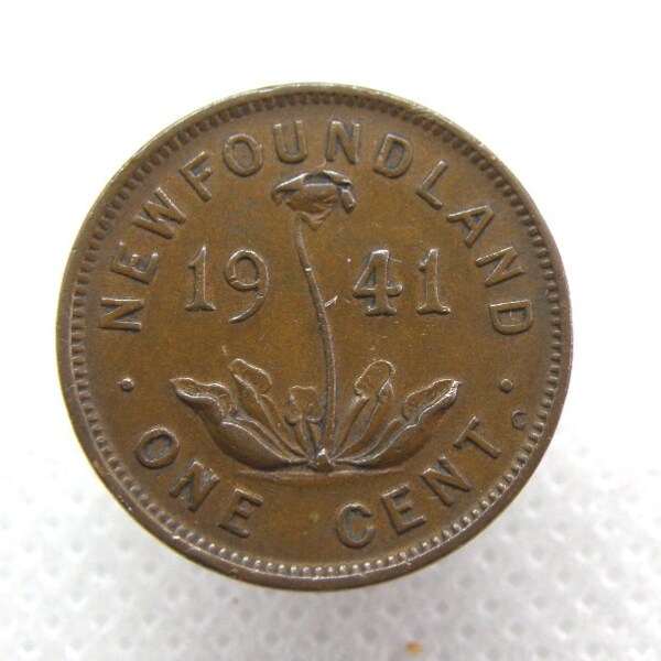 Newfoundland Coin - Etsy