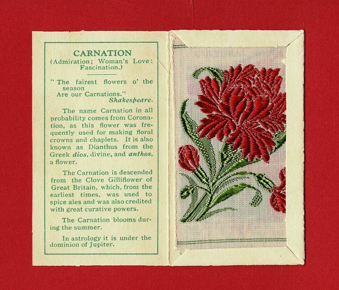 CARNATION SILK FLOWER Card Genuine 1934 Kensitas Flowers in Original ...