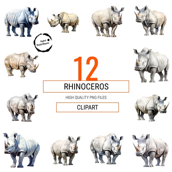 Rhinoceros - Etsy