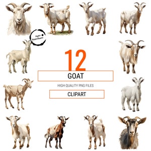 Goat Clipart Bundle Realistic Watercolor Style 12 Digital - Etsy