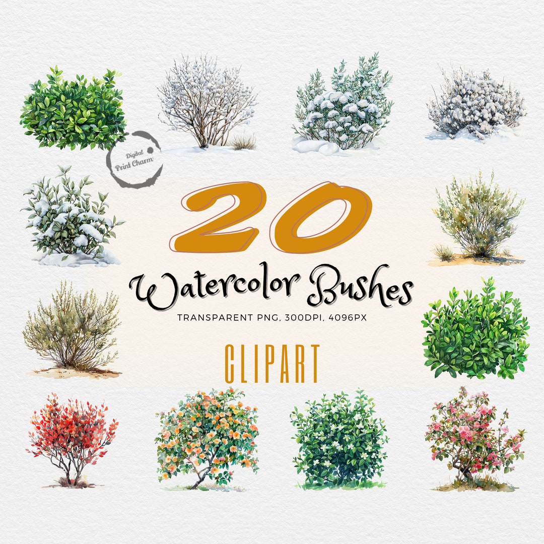 Realistic Bushes and Shrubs Clipart Bundle | 20 Watercolor ...