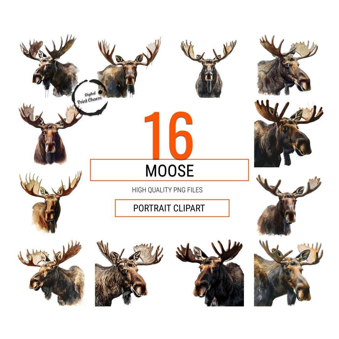 Majestic Moose Portrait Clipart Bundle | 16 Realistic Wildlife ...