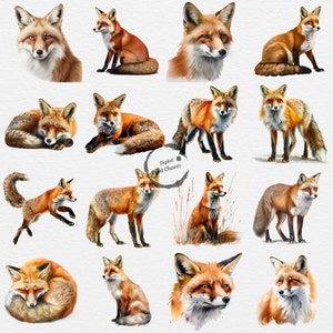 Charming Red Fox Watercolor Set | 20 Realistic Fox Digital Prints ...
