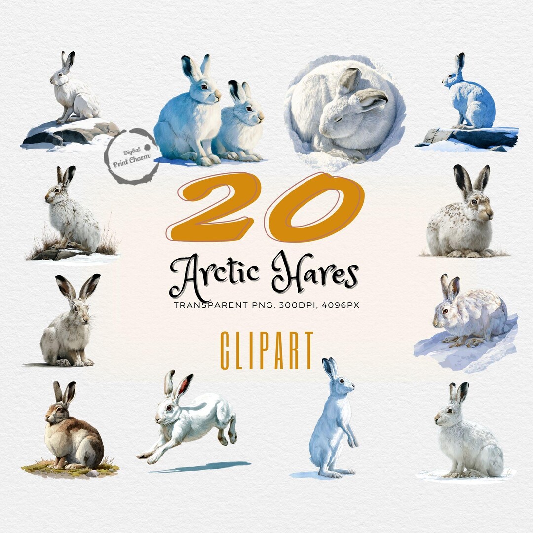 20 Arctic Hare Clipart | the Ultimate Snow Bunny Art! | Winter Woodland ...