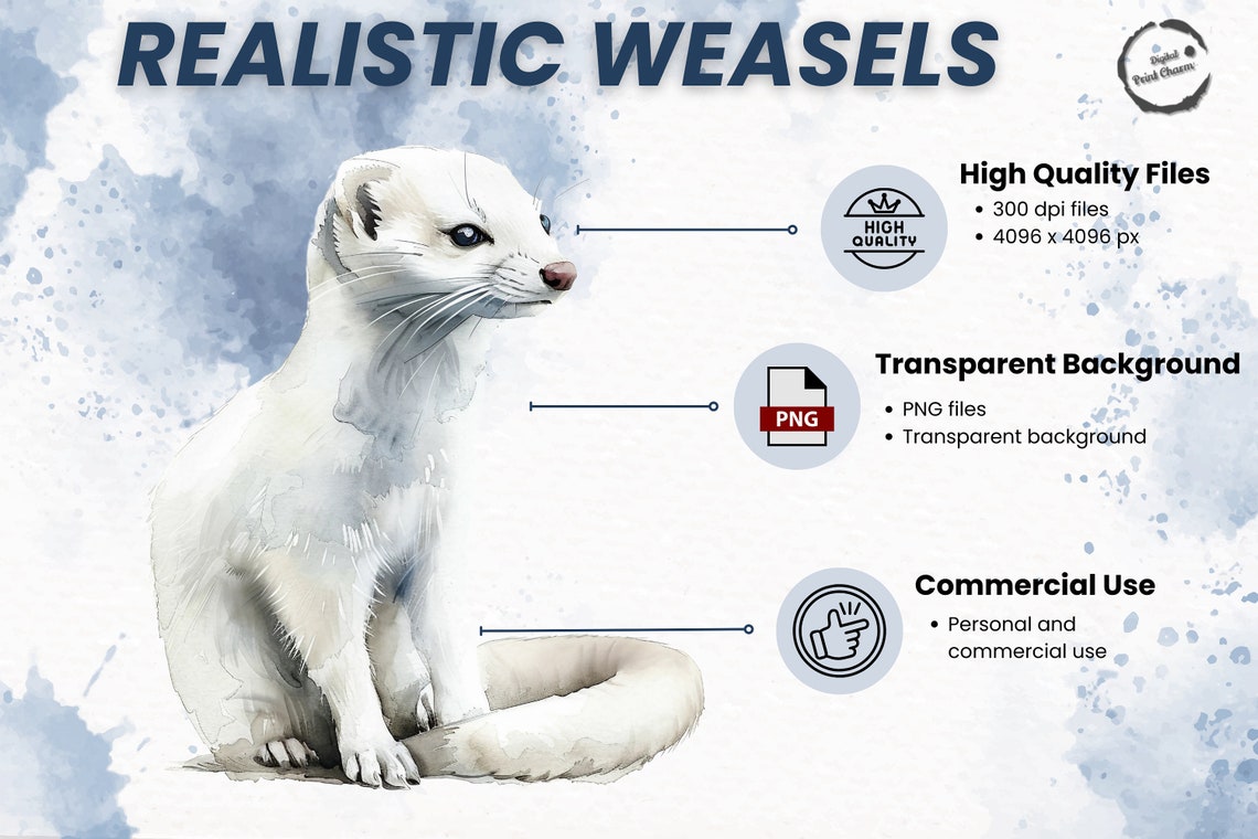 20 Weasel Watercolor Clipart Set Realistic & Detailed Animal Art ...