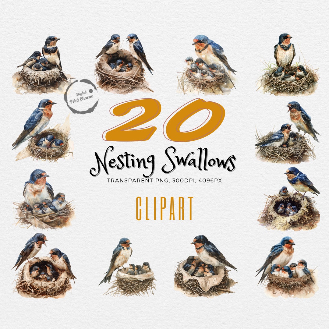 Realistic Swallow Nesting Clipart Bundle | 20 Watercolor Swallow ...
