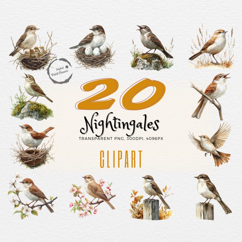 Charming Nightingale Clipart Bundle | 20 Realistic Watercolor ...