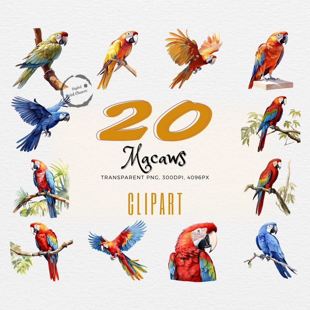 Vibrant Macaw Collection | 20 Digital Watercolor Prints | Realistic ...