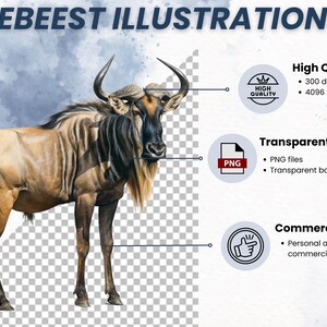 Majestic Wildebeest Clipart Set | 20 Realistic Gnu Illustrations ...