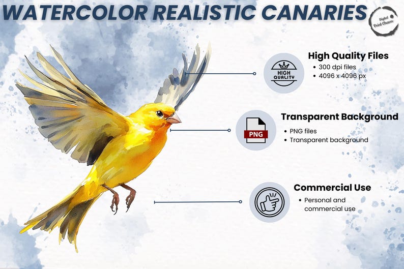 Canary Watercolor Clipart | Bundle of 20 Realistic Paintings | for ...