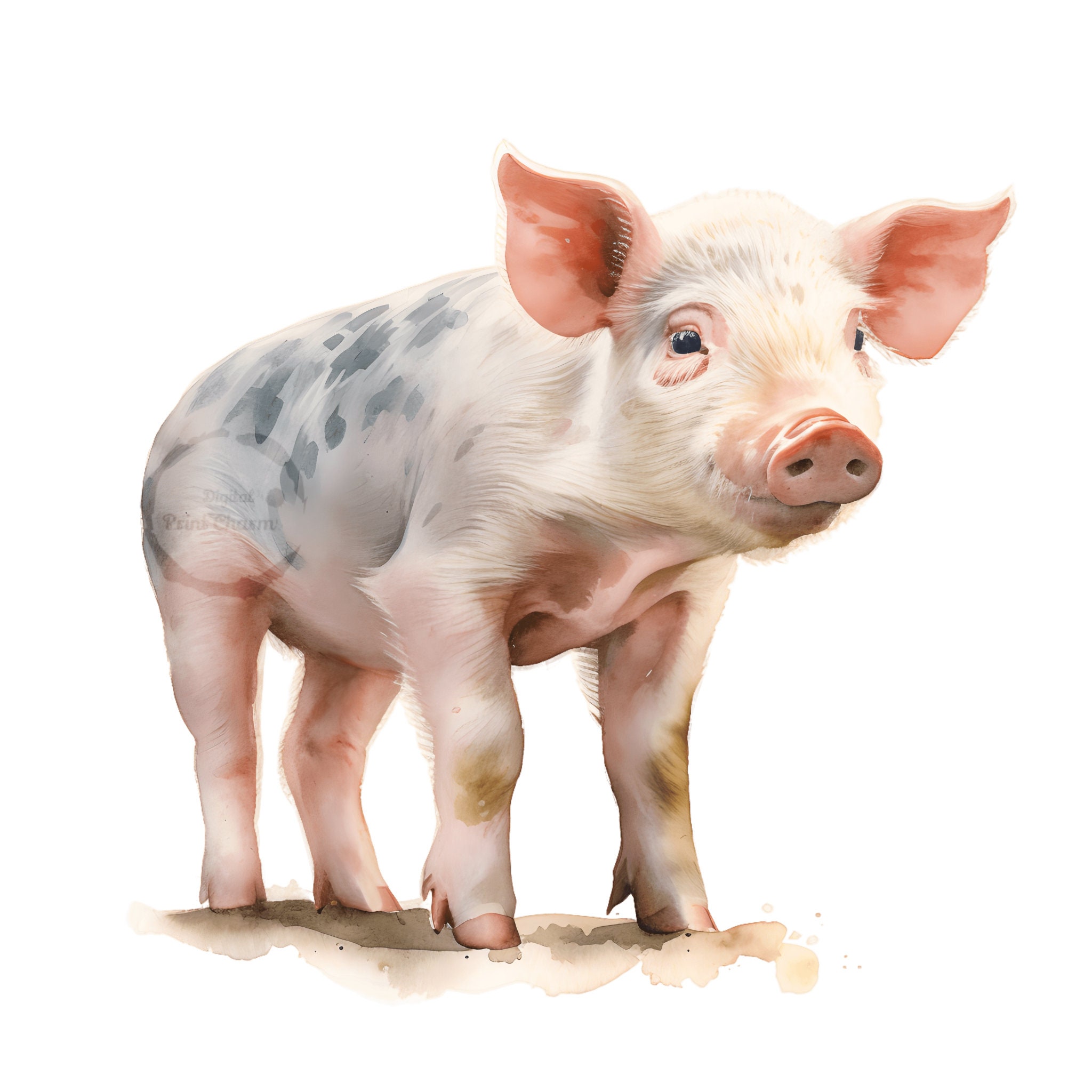 16 Pig Clipart Digital Prints Realistic Watercolor Art Perfect for ...