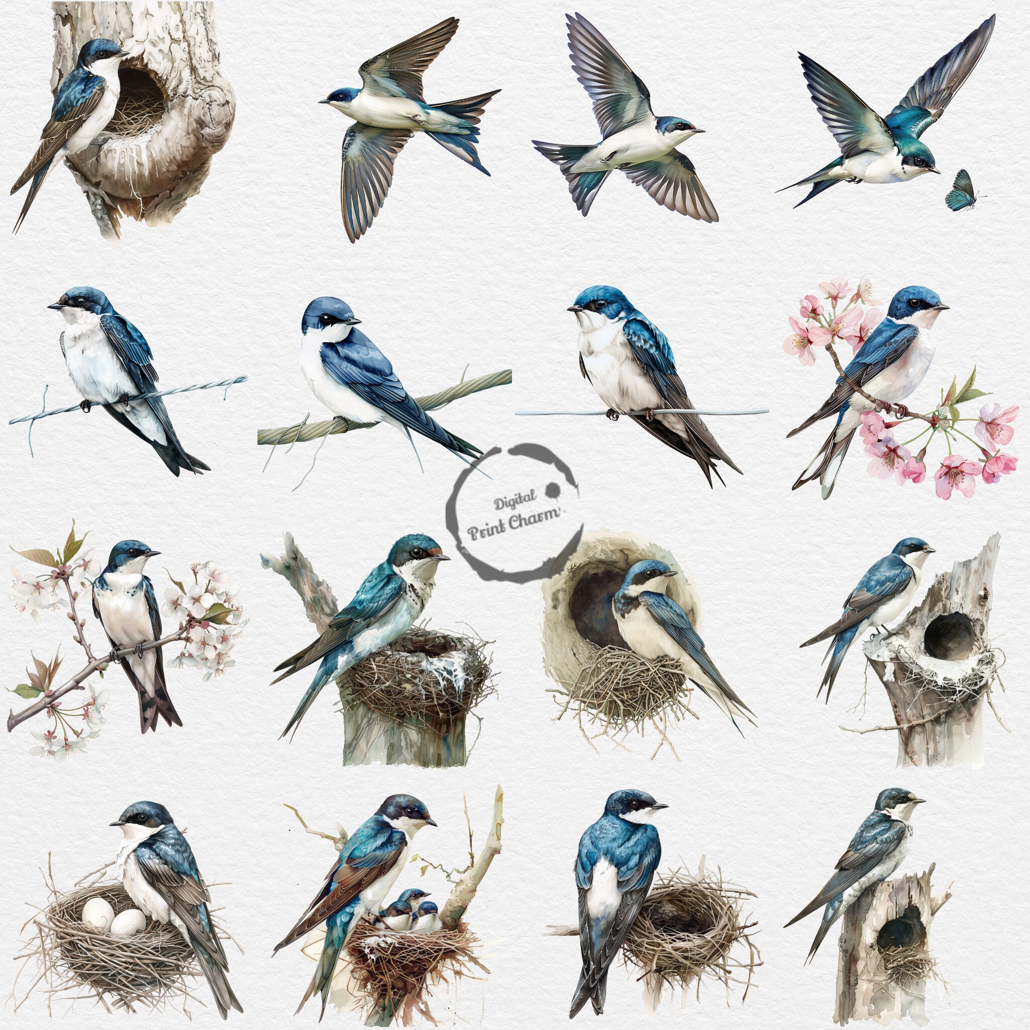 Realistic Tree Swallow Clipart Bundle 20 Watercolor Bird Illustrations ...
