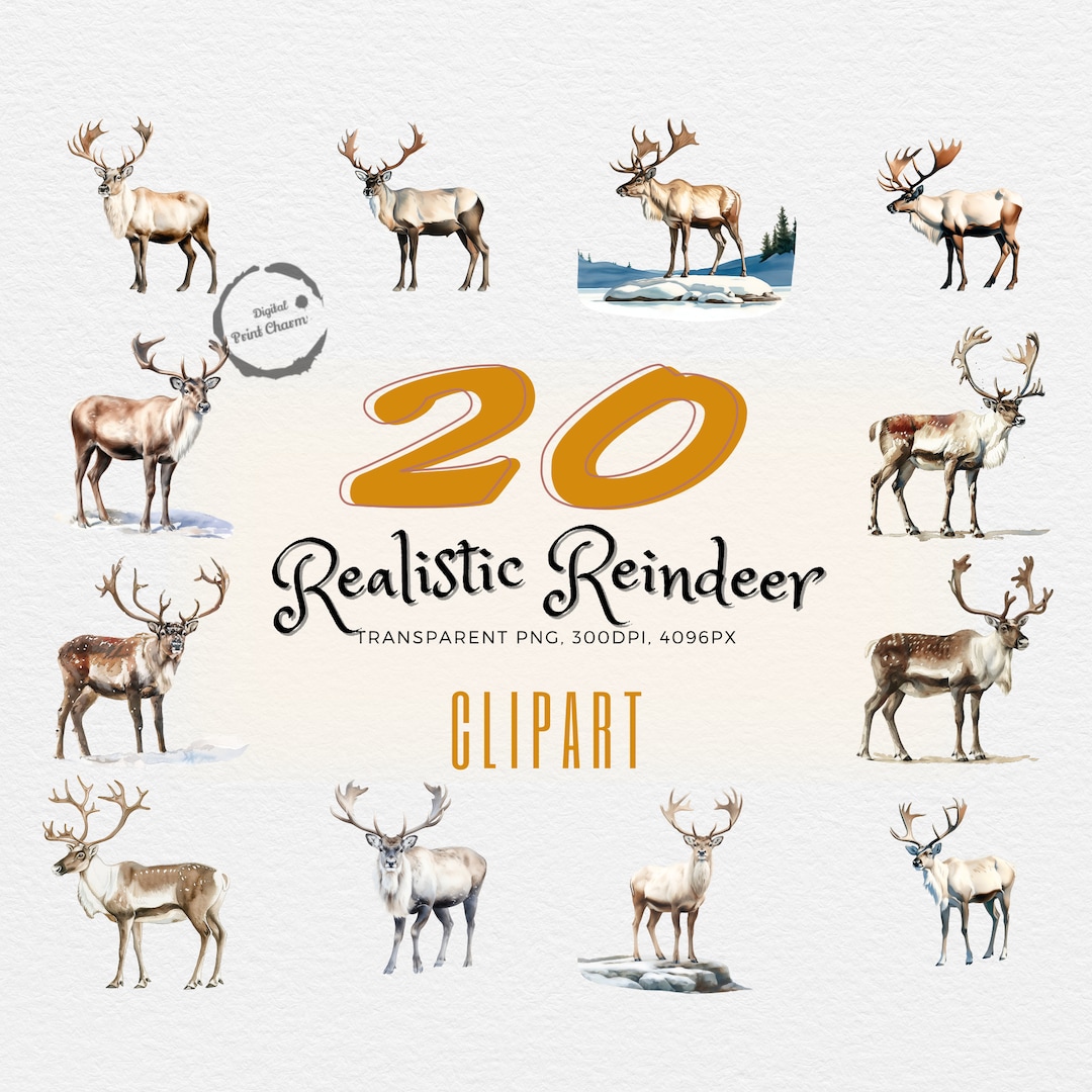 Reindeer Watercolor Clipart Bundle | 20 Realistic Caribou Digital ...