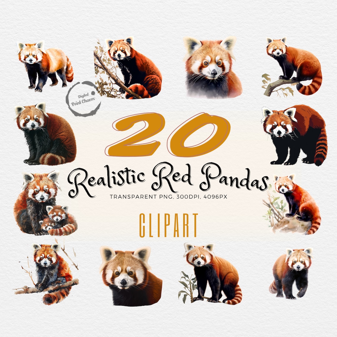 Red Panda Watercolor | 20 Digital Prints Bundle | Realistic Clipart Art ...