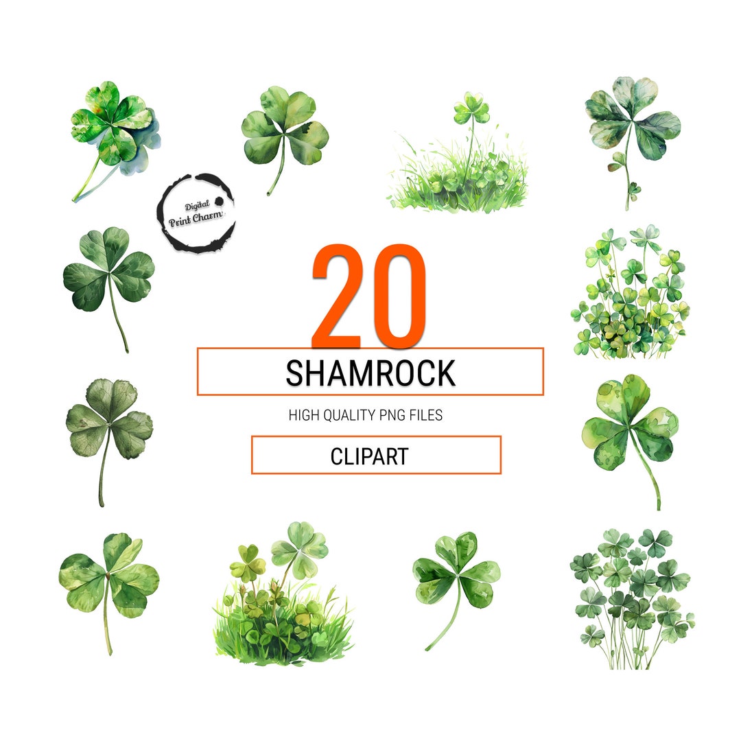 Lucky Shamrock & Clover Clipart Bundle | 20 Realistic Irish Greenery ...
