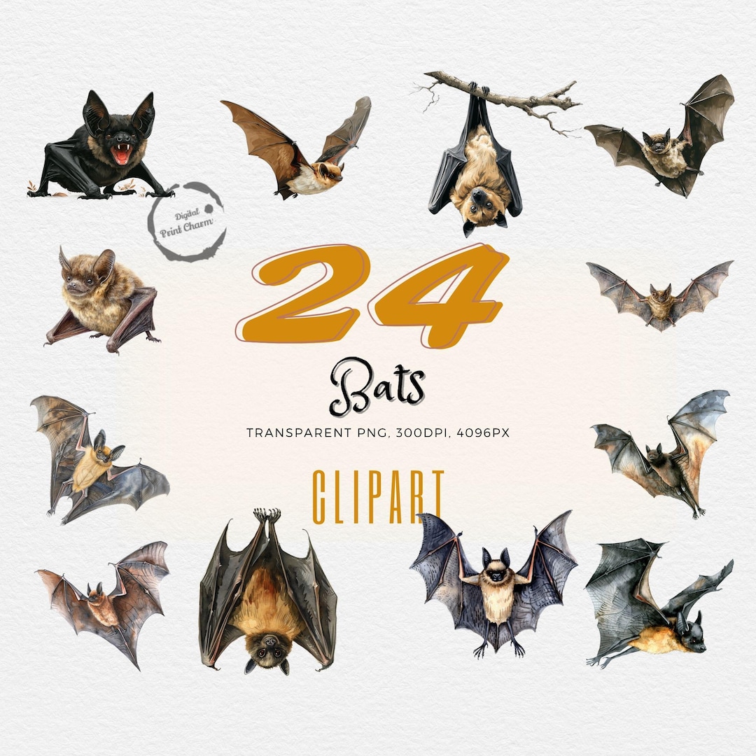 Realistic Bat Clipart Bundle | 24 Detailed Bat Illustrations | Perfect ...