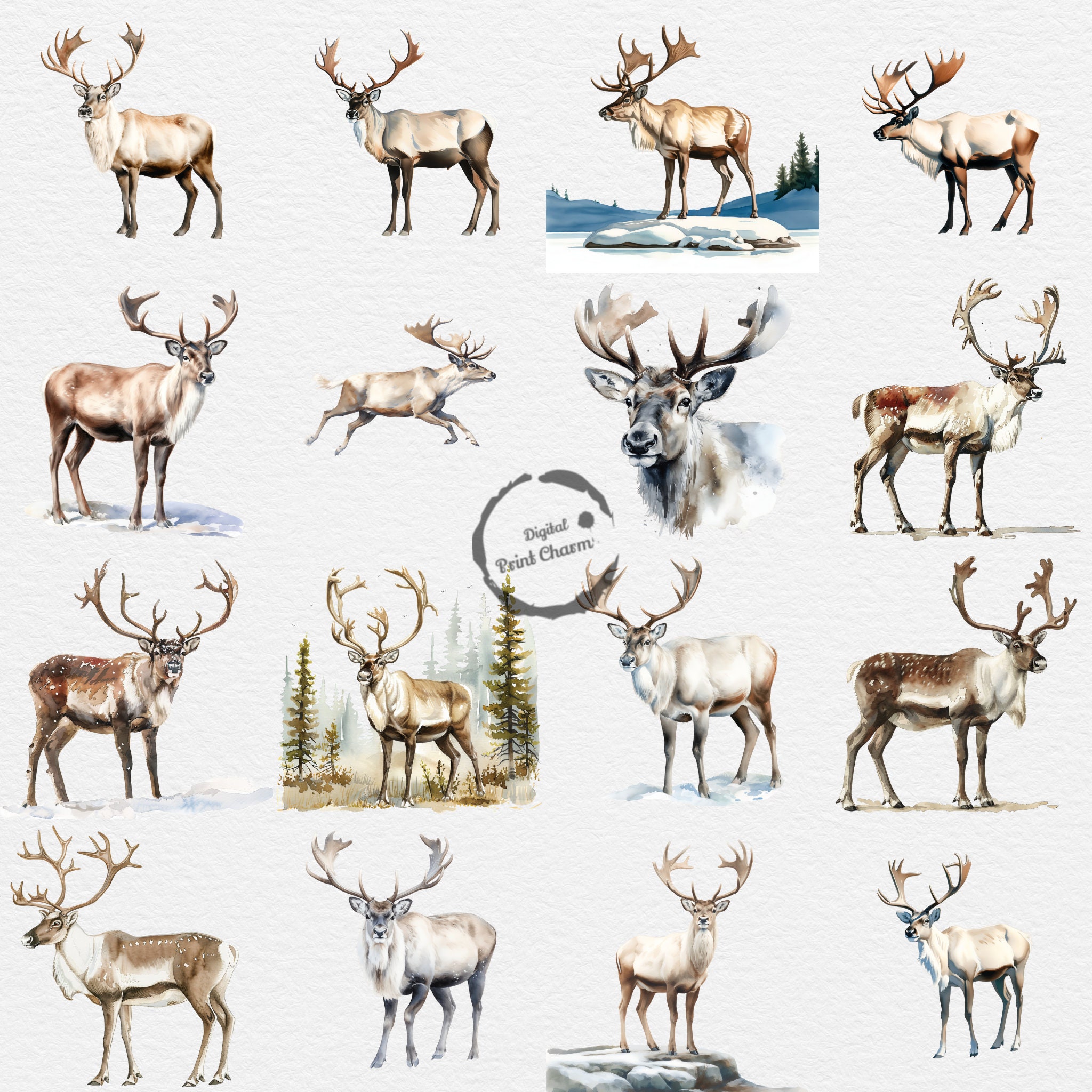 Reindeer Watercolor Clipart Bundle 20 Realistic Caribou Digital Prints ...