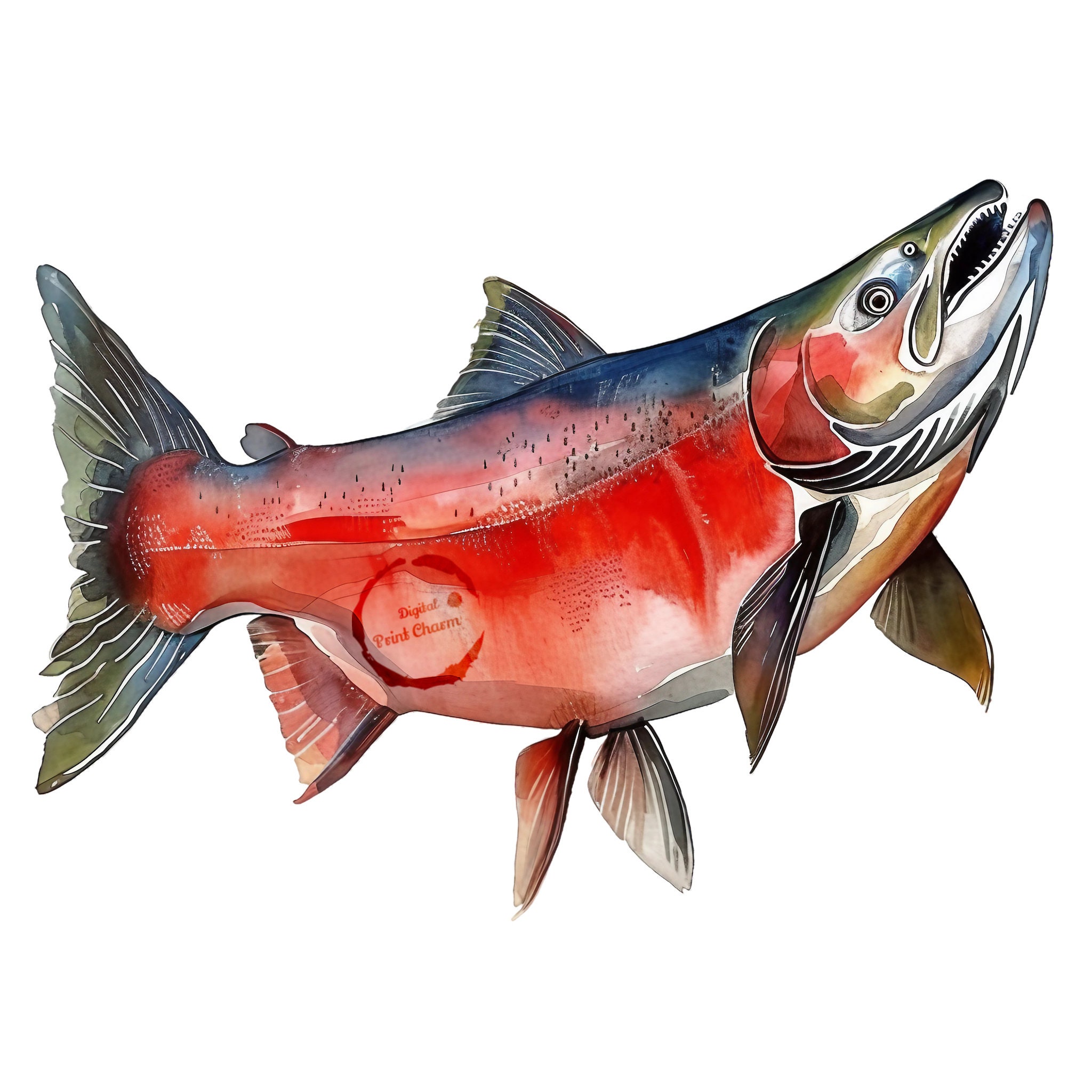 Lifelike Salmon Clipart Bundle 16 Realistic Fish Illustrations Perfect ...