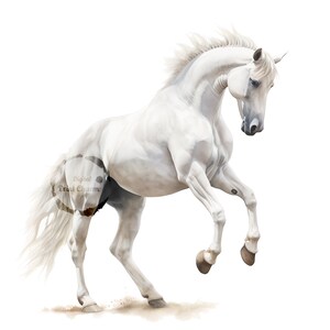White Horse Watercolor Bundle | 20 Majestic Clipart Digital Prints ...