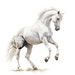 White Horse Watercolor Bundle 20 Majestic Clipart Digital Prints ...