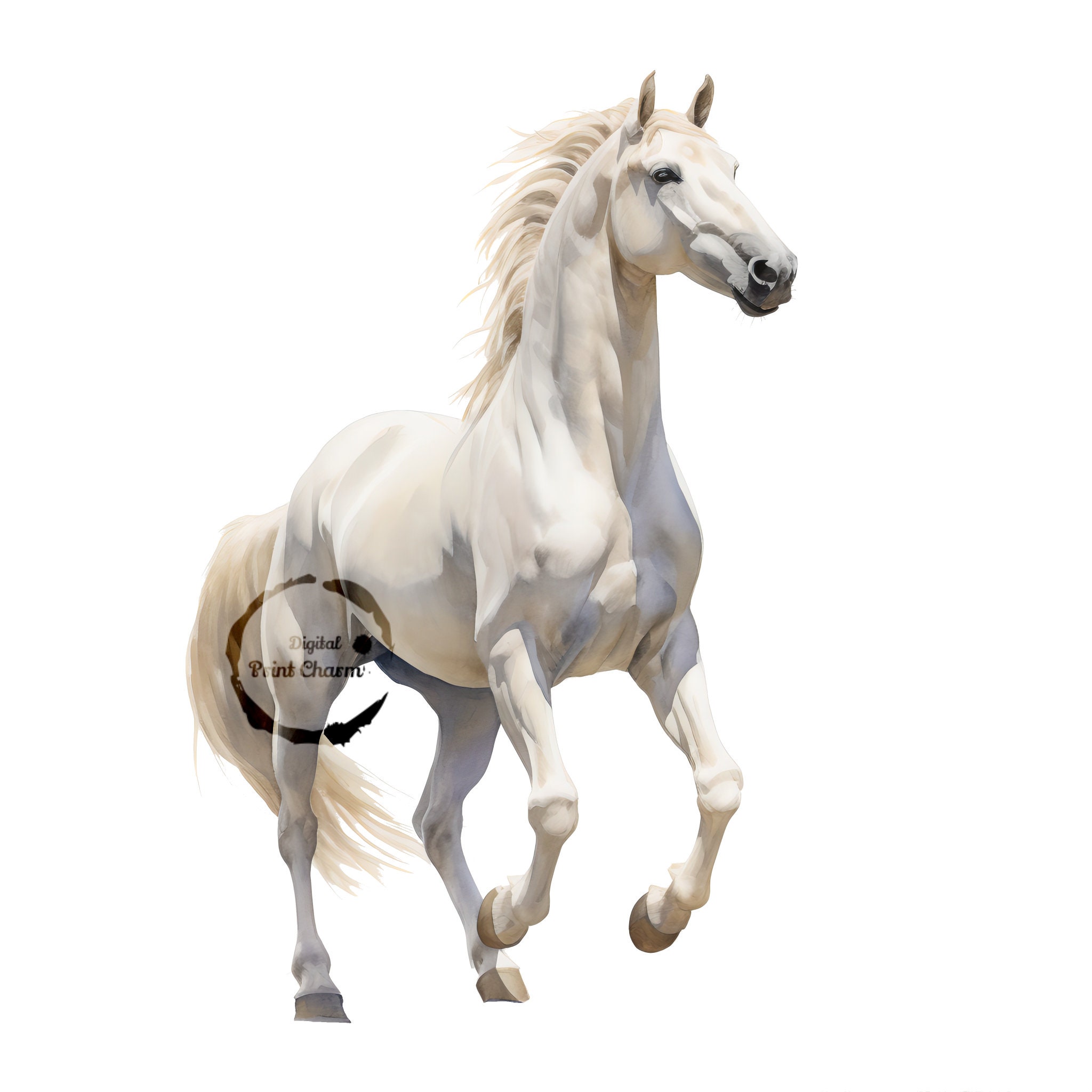 White Horse Watercolor Bundle 20 Majestic Clipart Digital Prints ...