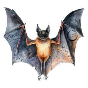 Realistic Bat Clipart Bundle | 16 Detailed Bat Illustrations | Perfect ...