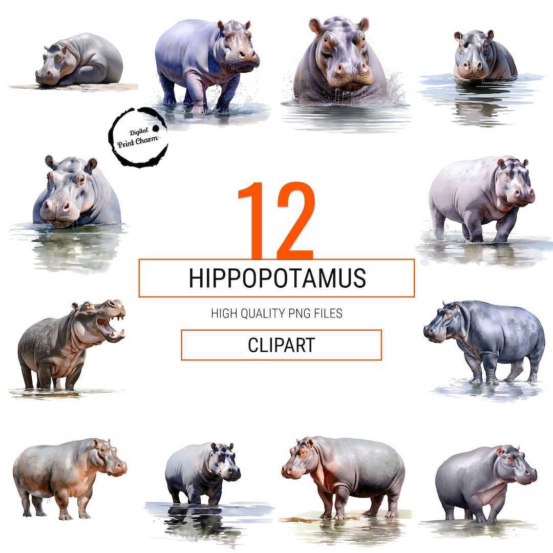 12 Realistic Hippo Prints Watercolor Digital Clipart Essential for ...