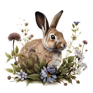 Realistic Rabbit Art Bundle | 20 Watercolor Paintings | Digital Clipart ...