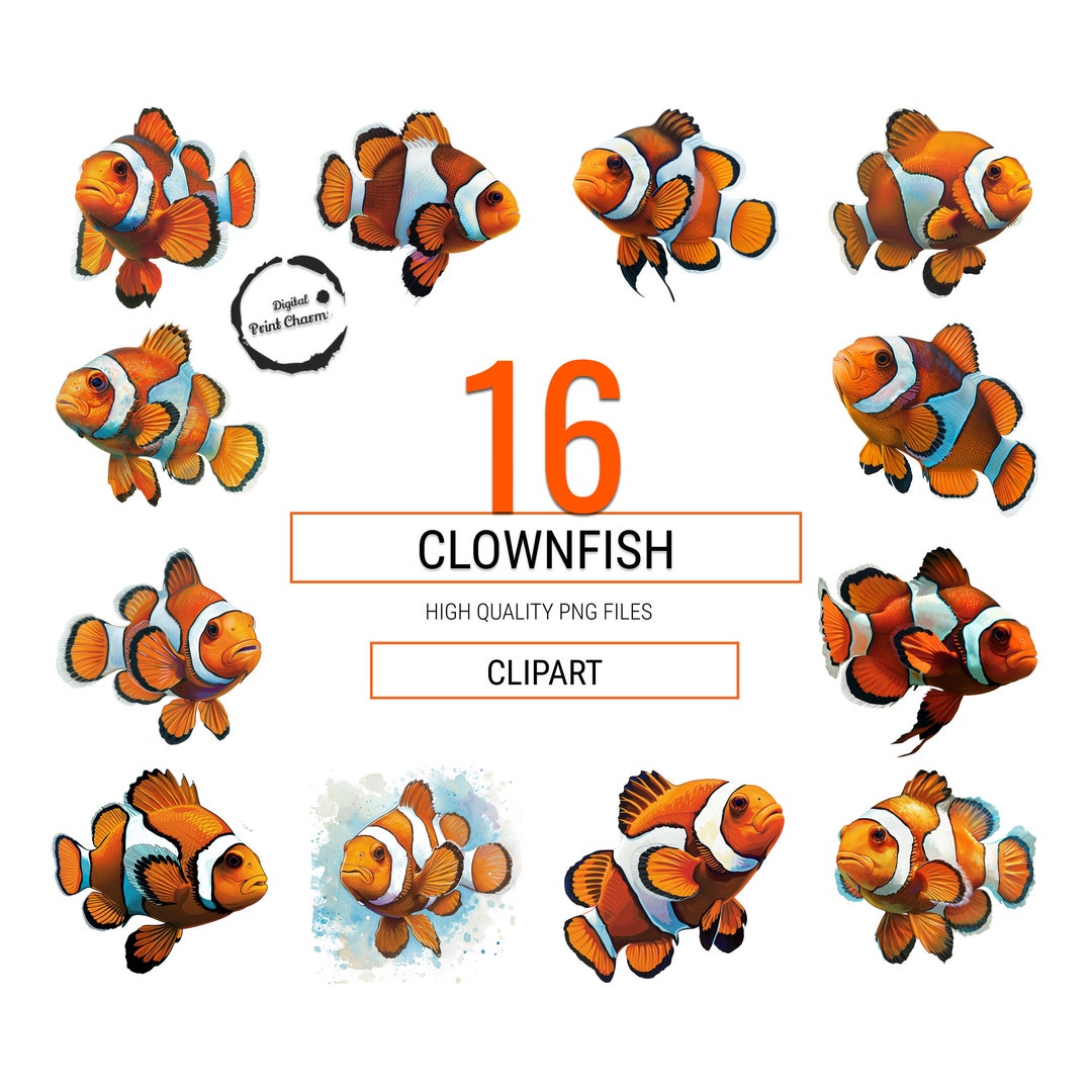Vibrant Clownfish Clipart Bundle | 16 Realistic Sea Life Illustrations ...