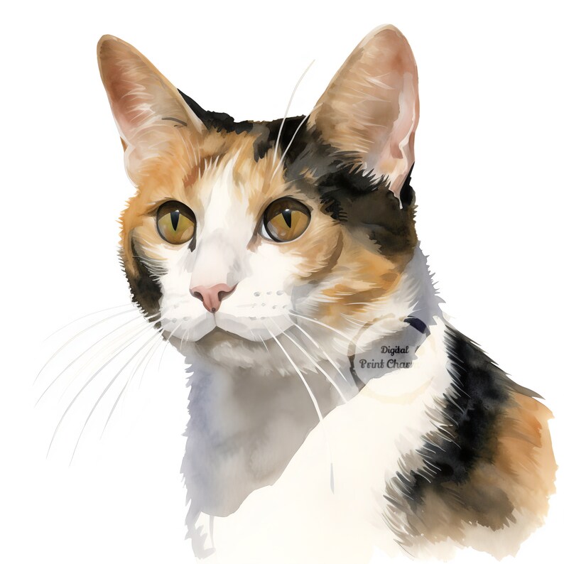 Digital Watercolor Calico Cat Clipart Bundle 16 Cute Feline Prints for ...
