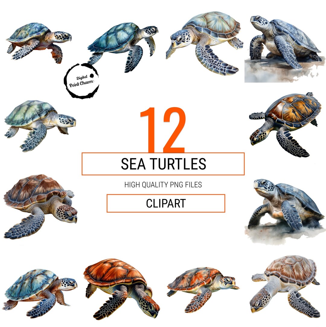 Watercolor Sea Turtles Clipart 12 Realistic Ocean Creatures Digital ...