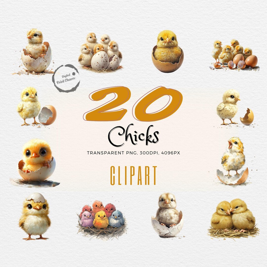 Realistic Chick Clipart | 20 True-to-life Chicks | Perfect Gift for ...
