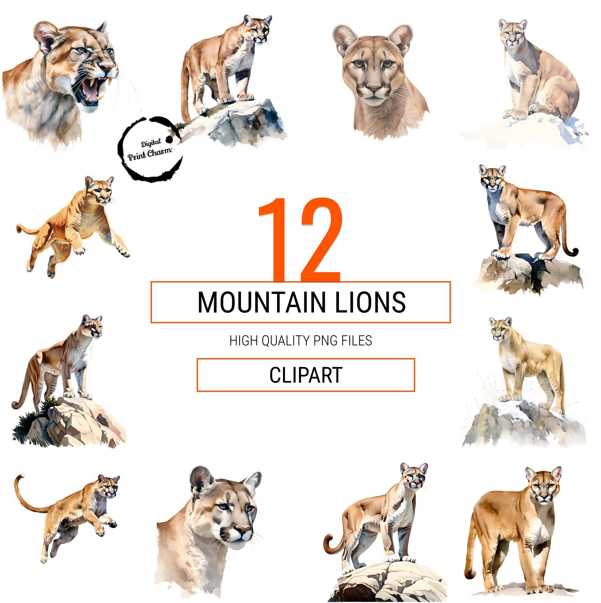 Realistic Mountain Lion Watercolor Clipart Bundle 12 Majestic Puma ...