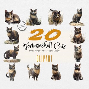 Adorable Tortoiseshell Cat Clipart Bundle | 20 Realistic Watercolor ...